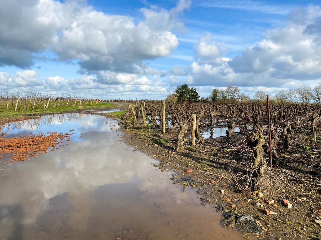 Clisson & les vignobles nantais - My Little Pipe Dream