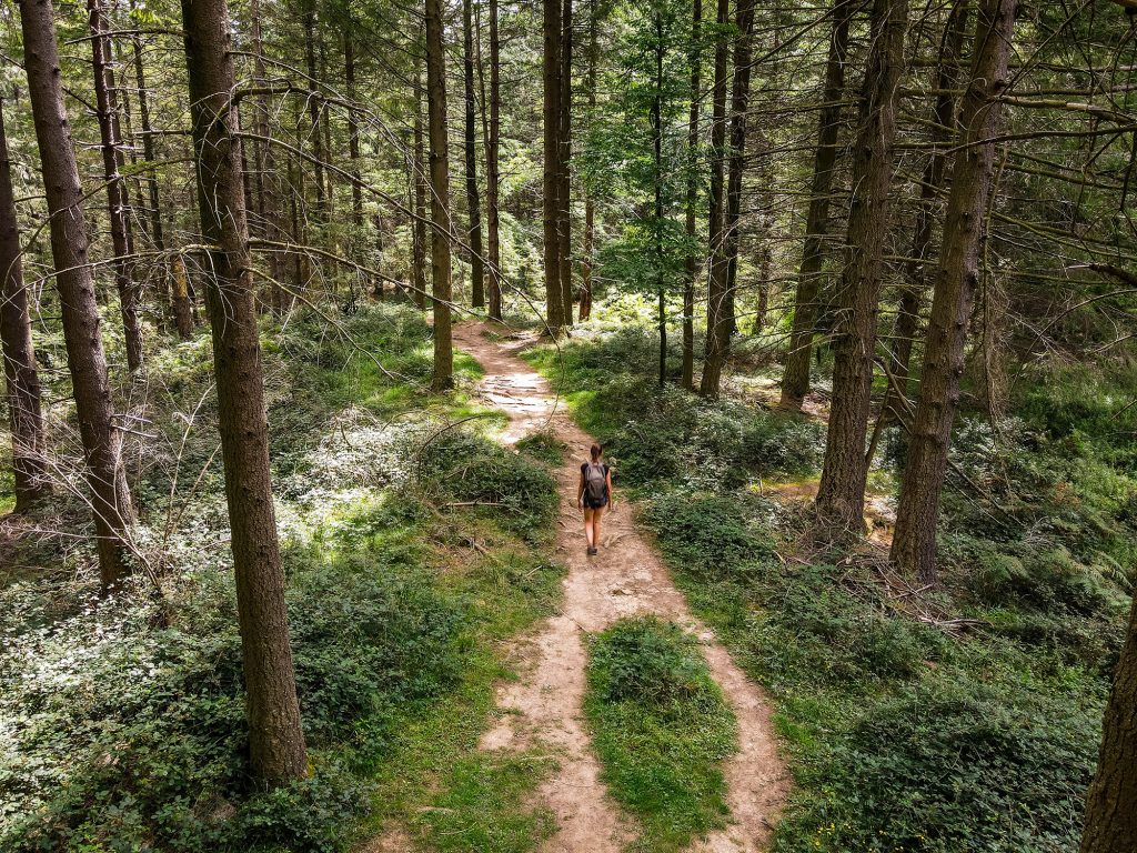 Que faire dans le Pays Basque espagnol ? - My Little Pipe Dream